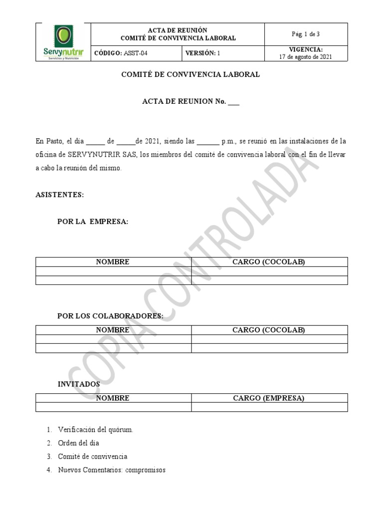 Acta de Reunión Cocolab | PDF