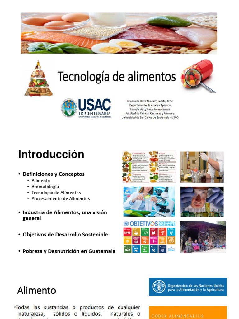Presentaciones Alimentos 1P | PDF | Alimentos | Dieta y nutrición