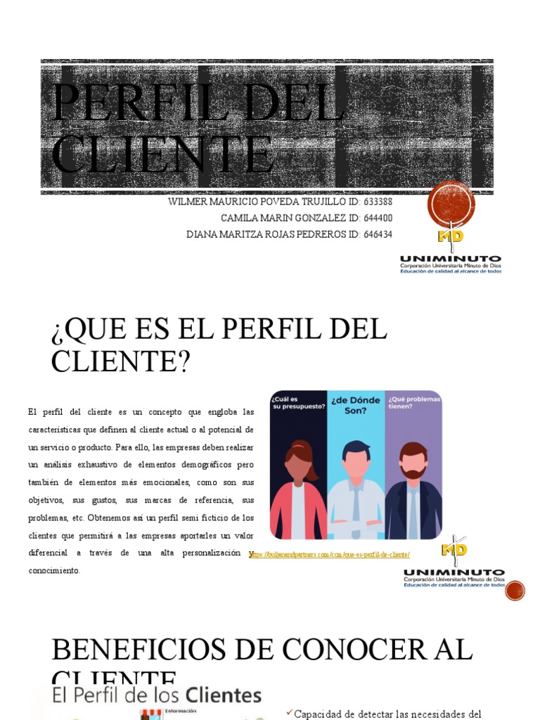 Perfil Del Cliente | PDF | Cliente