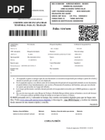 Formato Incapacidad Imss Editable Word | PDF