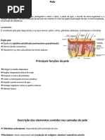 Via de ADMINISTRAÇÃO CUTÂNEA (Conteúdo Explicativo) - Profa M. Vitoria ...