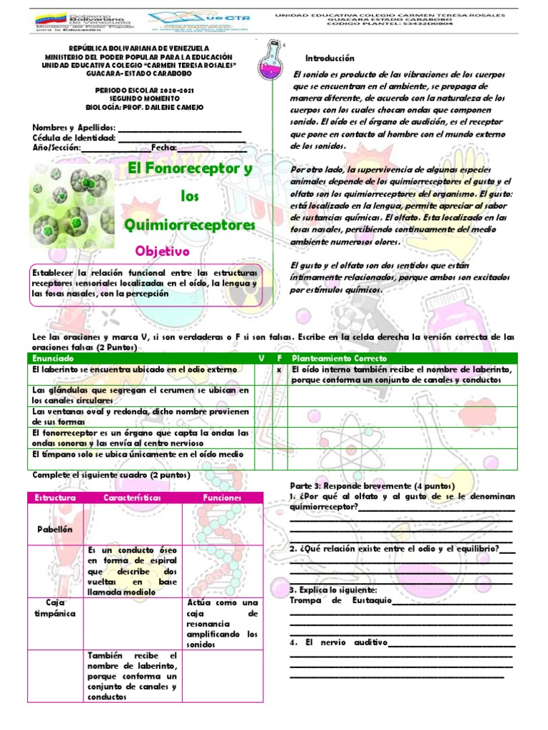 2do Tema Fonorreceptor y Quimiorreceptores | PDF | Gusto | Oído