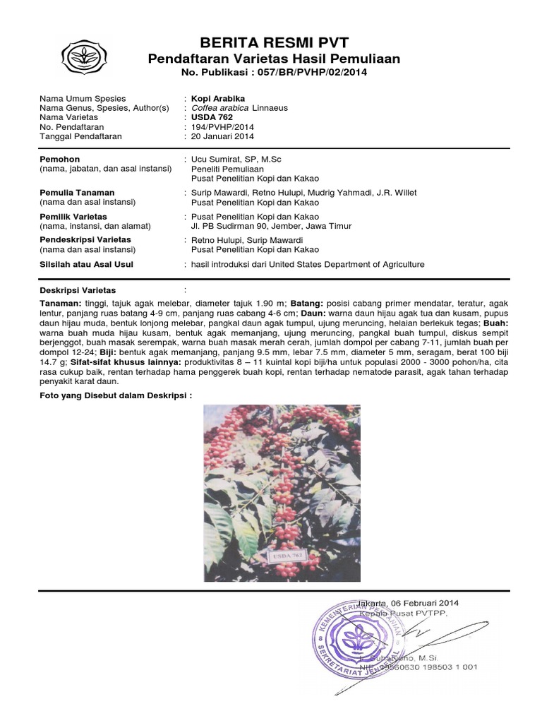 Puslitkoka Kopi A USDA 762 | PDF | Sains & Matematika