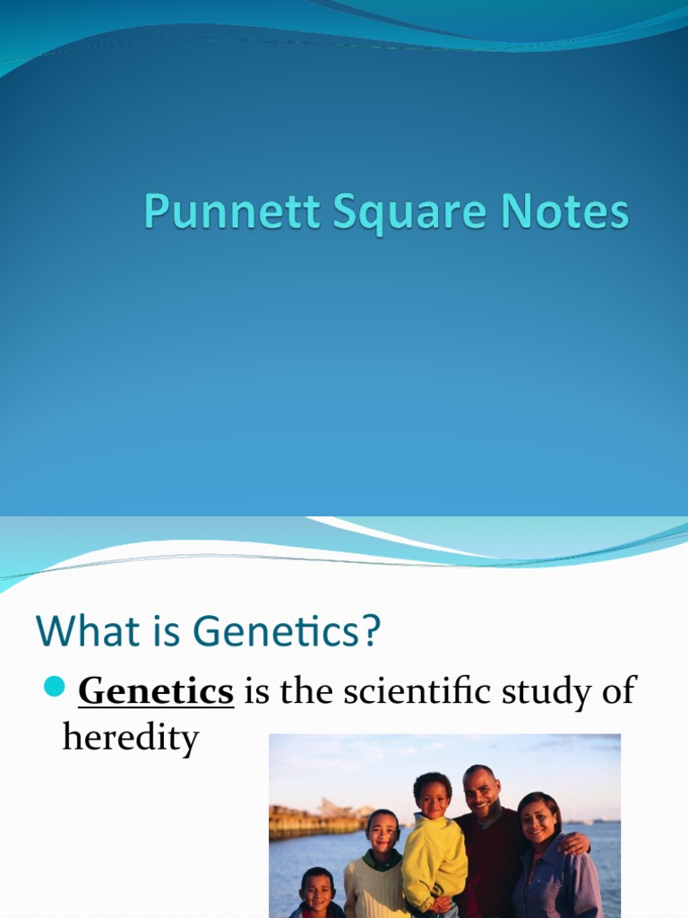 Punnett Square Notes | PDF | Dominance (Genetics) | Phenotypic Trait