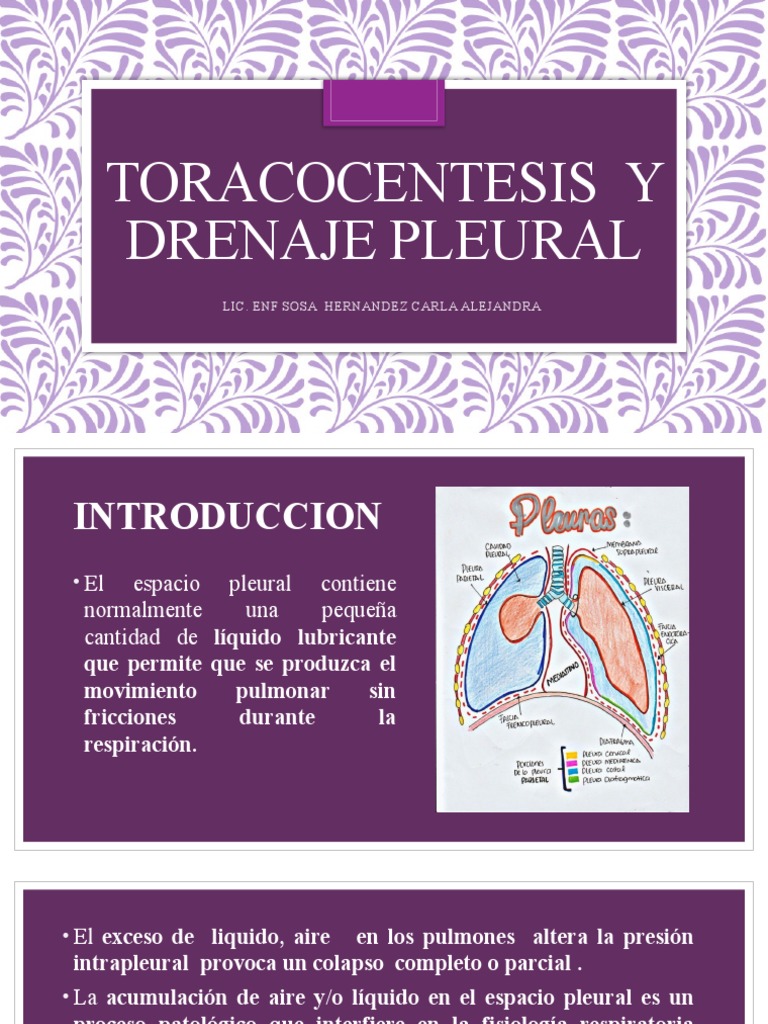 Toracocentesis y Drenaje Pleural: Guía | PDF | Especialidades Medicas ...