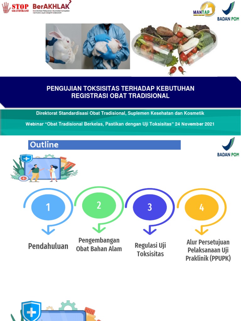 Materi BPOM | PDF