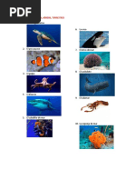 10 Animales Que Nadan | PDF