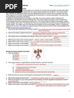 Urodynamics Normal Values Guide | PDF | Urinary Incontinence | Urination