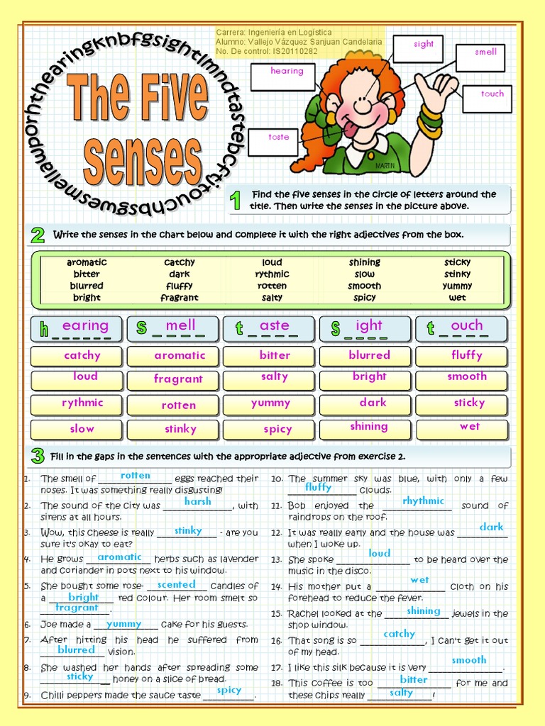 Sensory Adjectives Activity Worksheet | PDF | Foods | Food And Drink