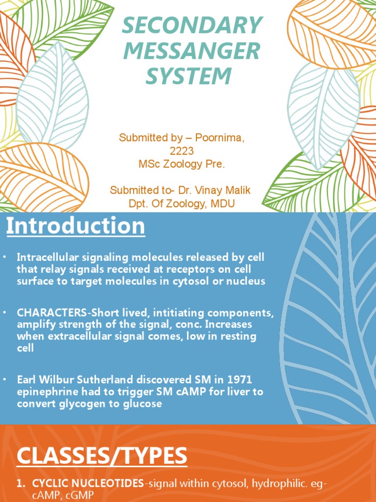 Secondary Messanger System | PDF