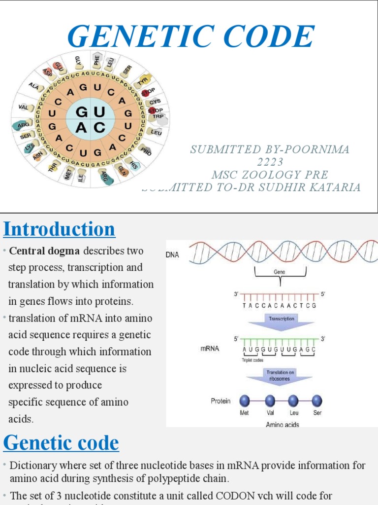 Genetic Code: Submitted By-Poornima 2223 MSC Zoology Pre Submitted To ...