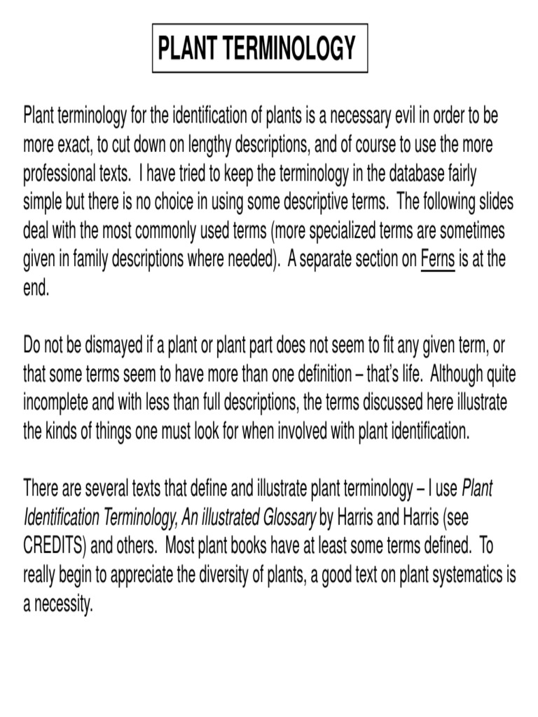 Plant Terminology | PDF | Leaf | Petal