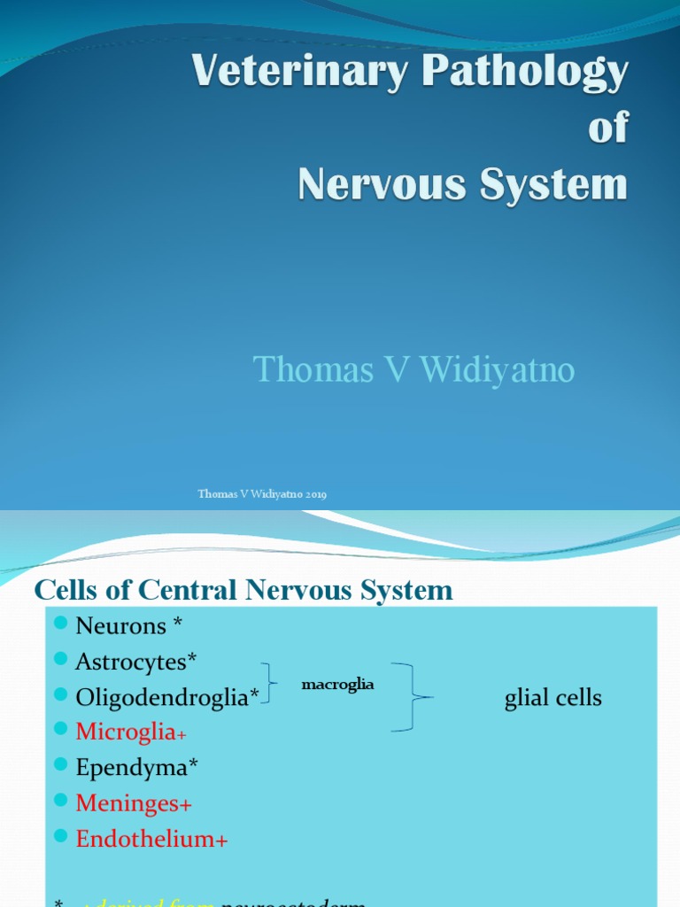 Pathology of Nervous System2020 | PDF | Neuroscience | Nervous System