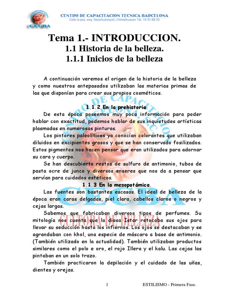 Historia y Estilismo en Belleza | PDF | Pelo | Piel