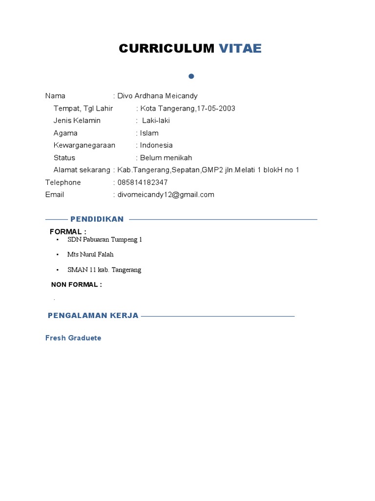 CV Muhammad Hafiz D | PDF