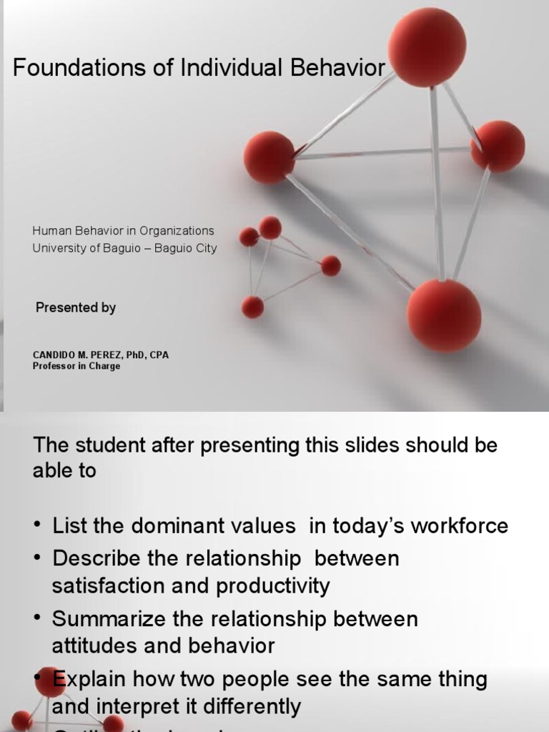 Foundations of Individual Behavior | PDF | Perception | Attitude ...
