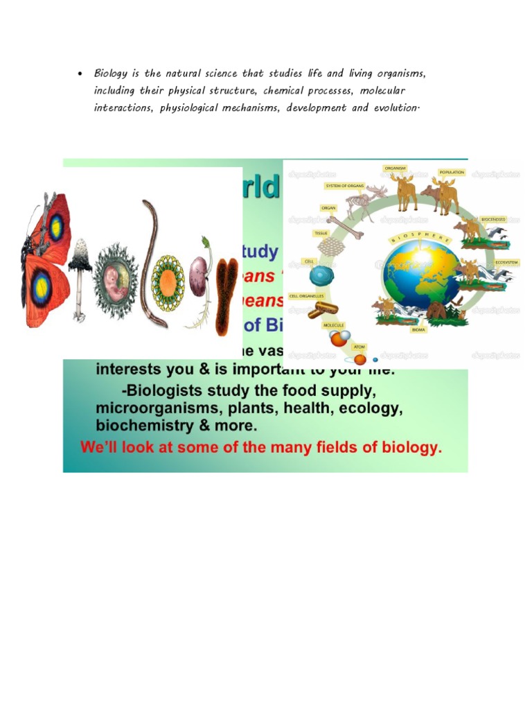 Biology Is The Natural Science That Studies Life and Living Organisms ...