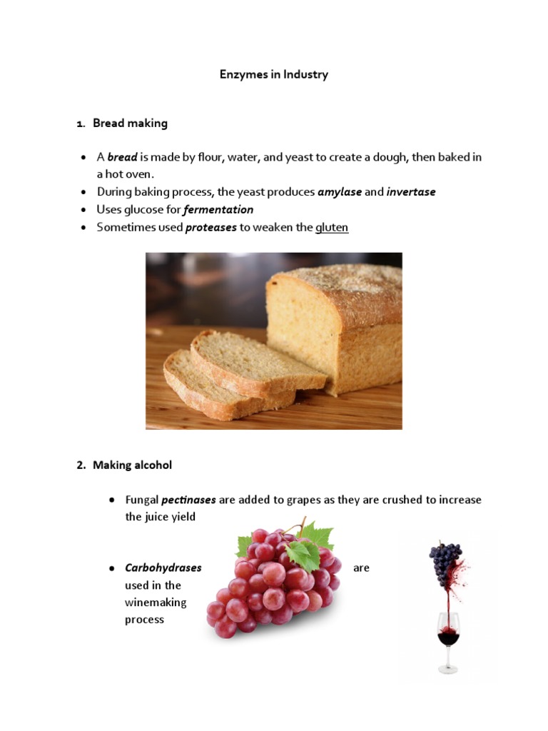 Enzymes in Industry 1. Bread Making | PDF | Cooking, Food & Wine