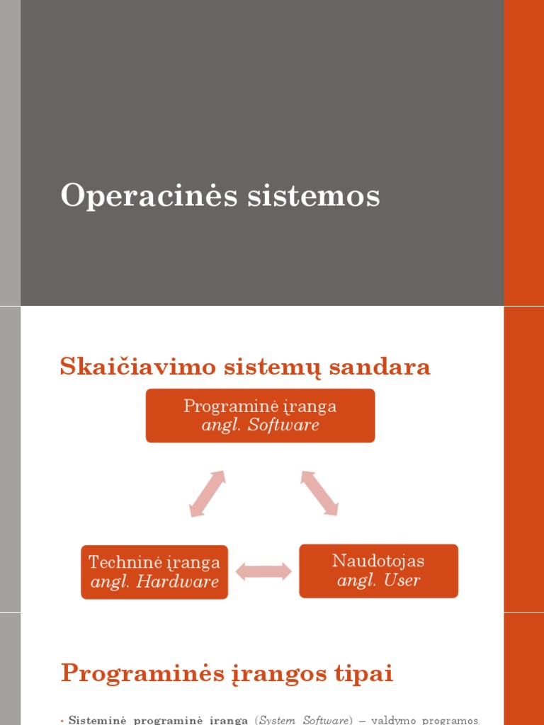 OS Operacinė Sistema | PDF