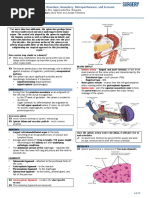 How To Write An Hpi | PDF | Pain | Thorax