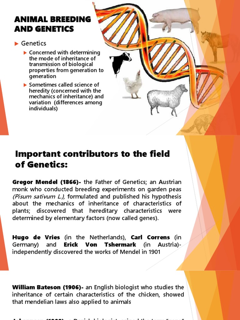 Animal Breeding | PDF | Inbreeding | Heredity