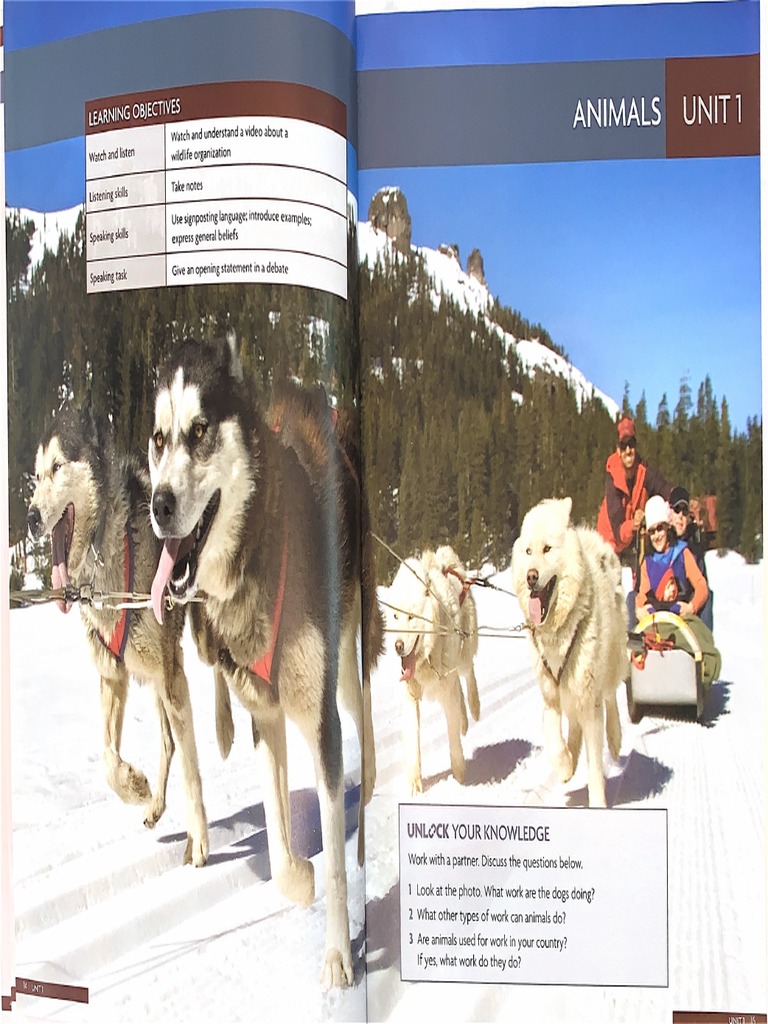 Unlock U1 Animal | PDF