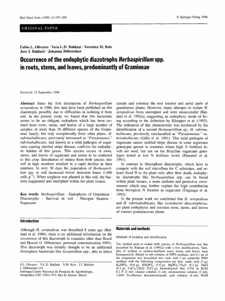 Endofitos en Gramineas | PDF | Root | Plant Pathology
