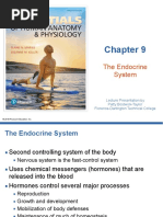 Reproductive System Chapter 16 Key Answer | PDF