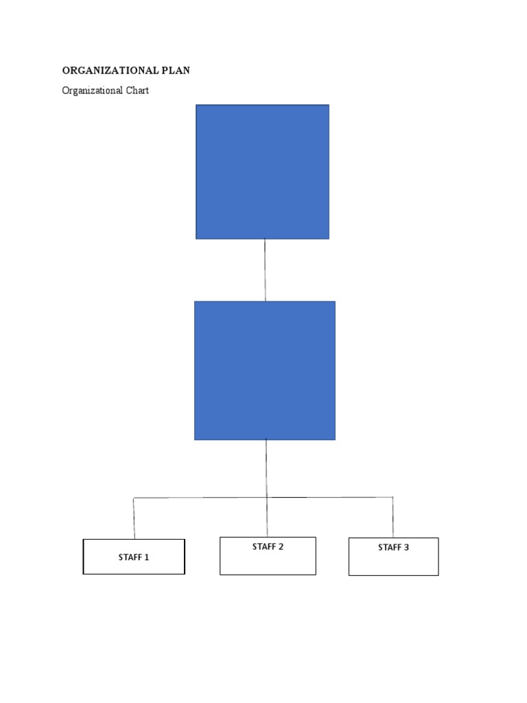 Organizational Plan | PDF | Economies | Accounting
