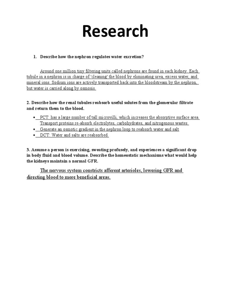 Research Urinary System | PDF