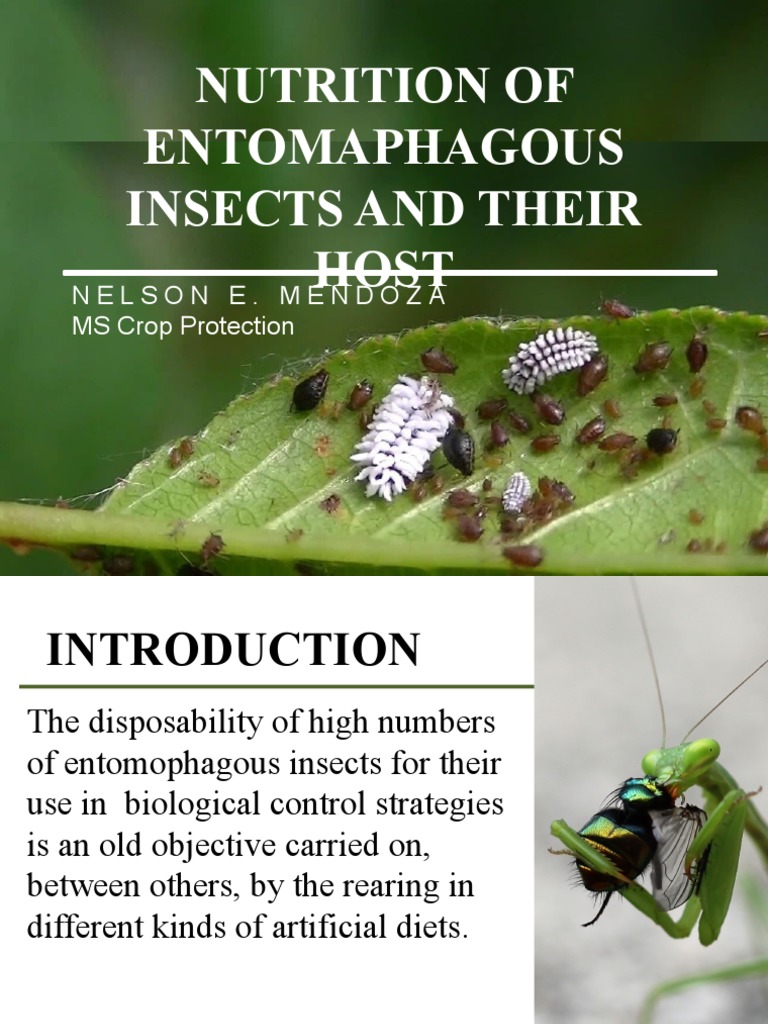 Nutrition of Entomaphagous Insects and Their Host | PDF