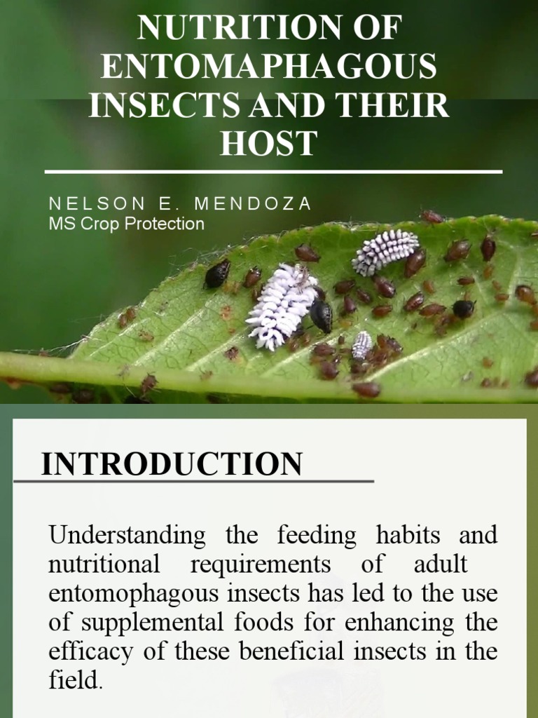 Entomophagous Insect Nutrition Guide | PDF | Predation | Lipid