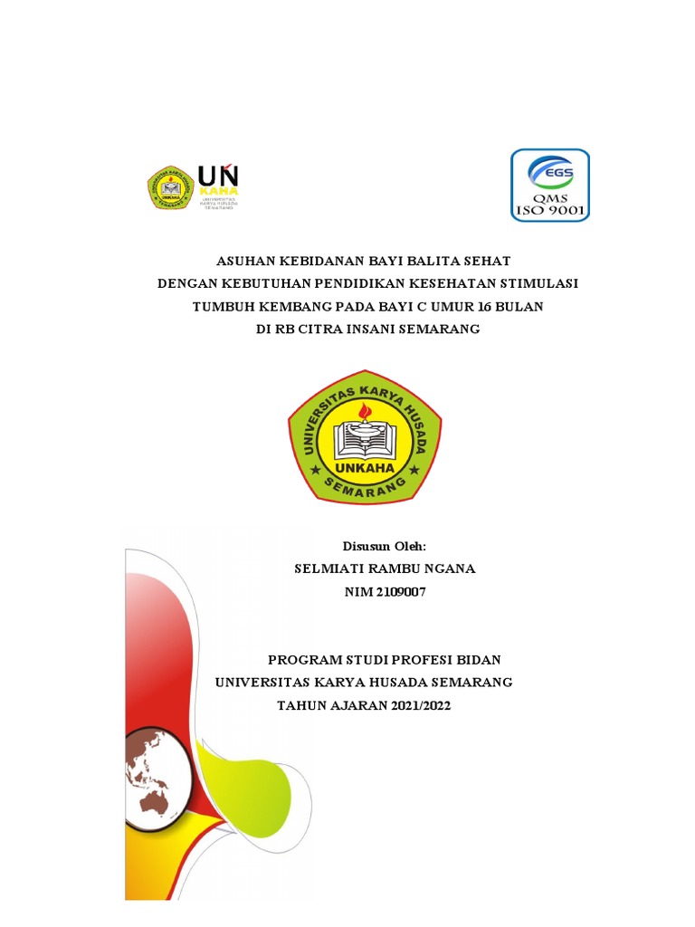 ASKEB SDIDTK Bayi Balita Panum 2 | PDF