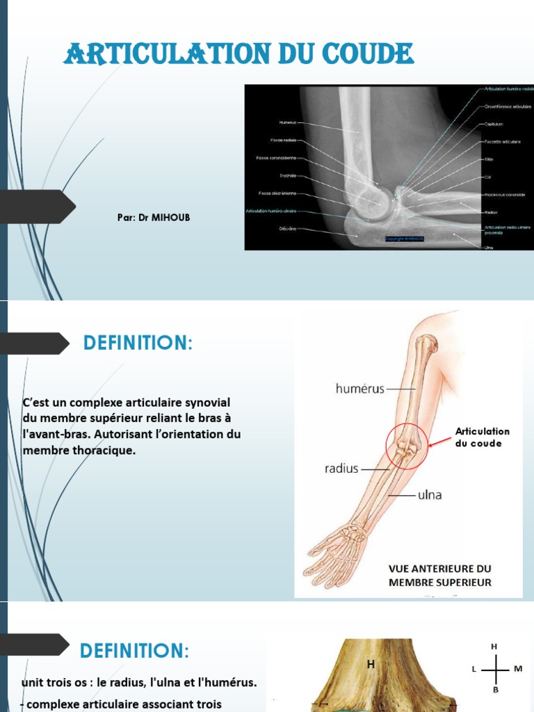 Articulation Du Coude | PDF | Coude | Articulation (anatomie)