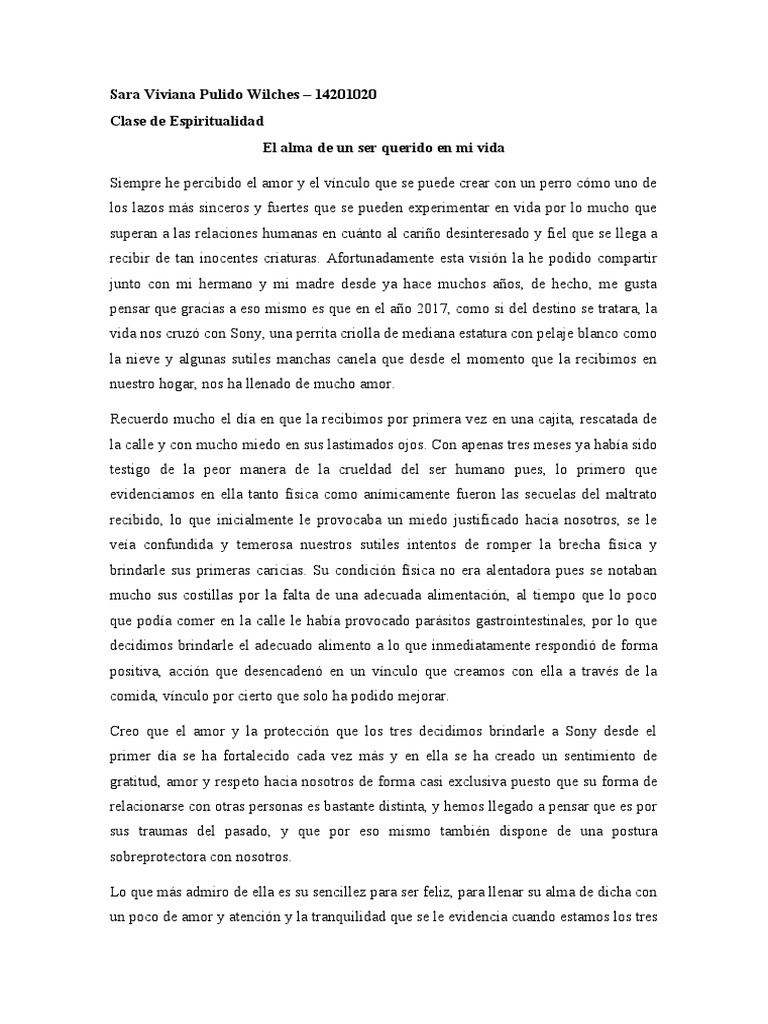 El Alma De Un Ser Querido Pdf Amor Alma