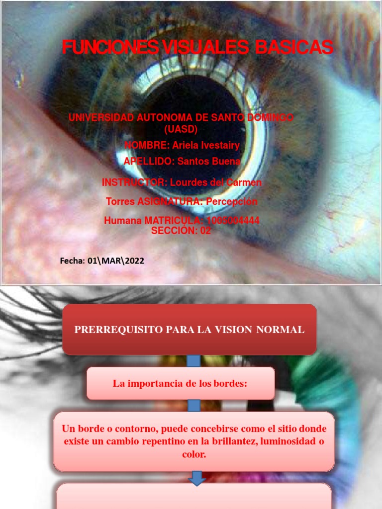 Funciones Visuales Basicas Capitulo 4 Compress | PDF | Percepción ...