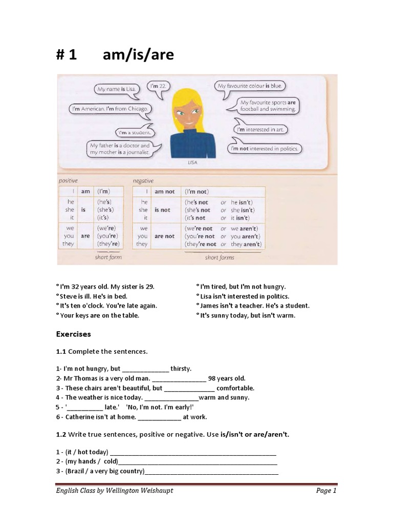 # 1 Am/is/are: Exercises | PDF