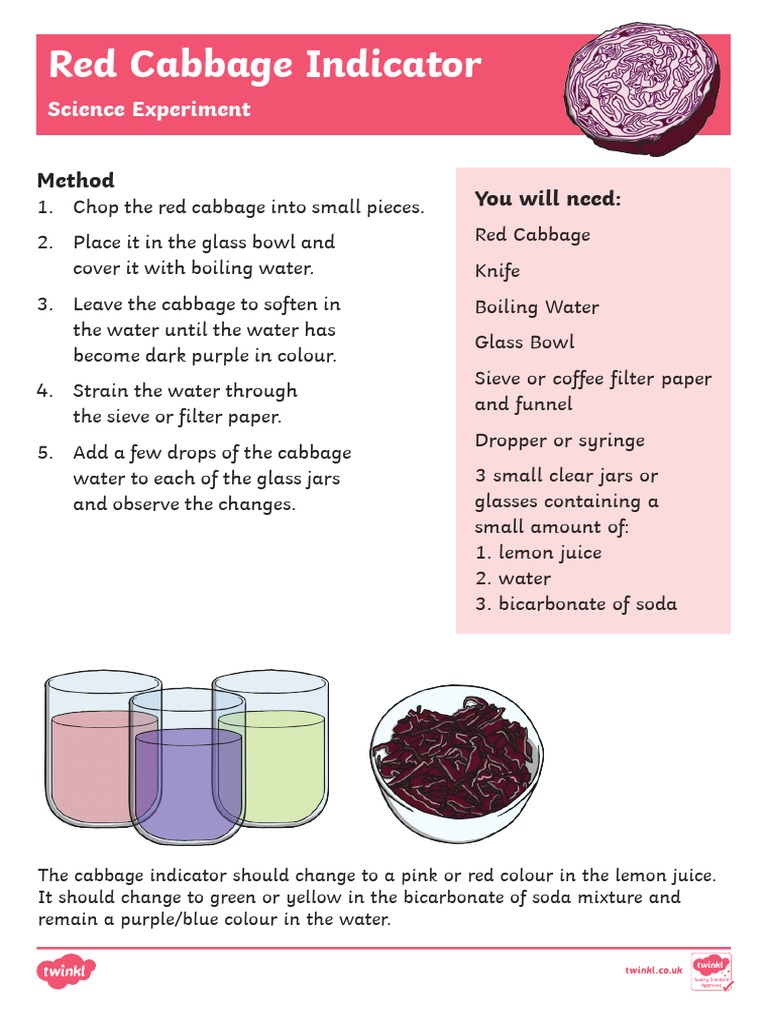 Science Experiment | PDF