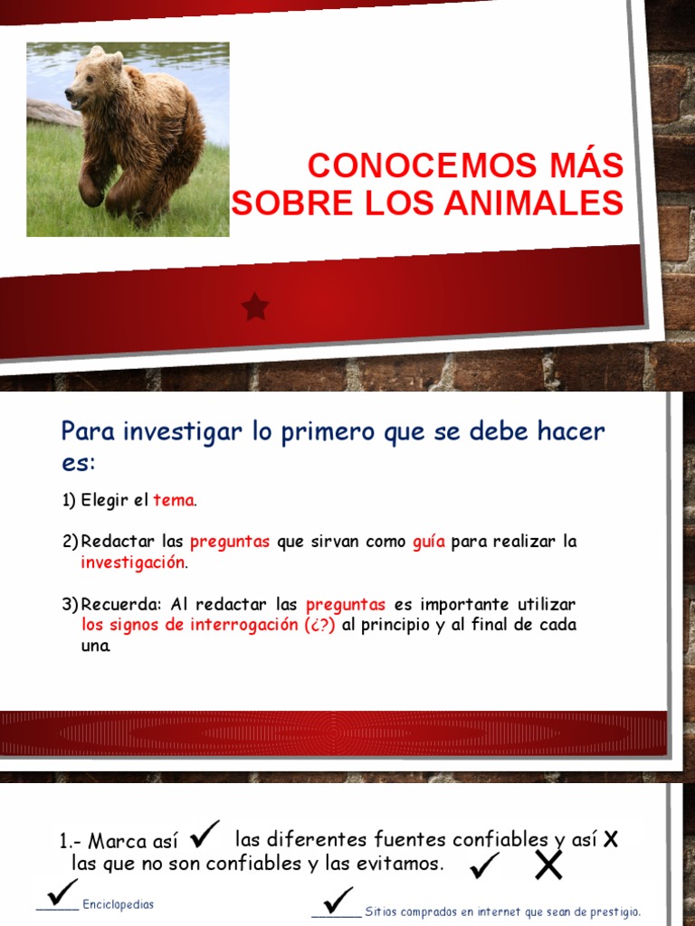 ANIMALES | PDF | Artes del Lenguaje y Comunicación | Estudios de ...