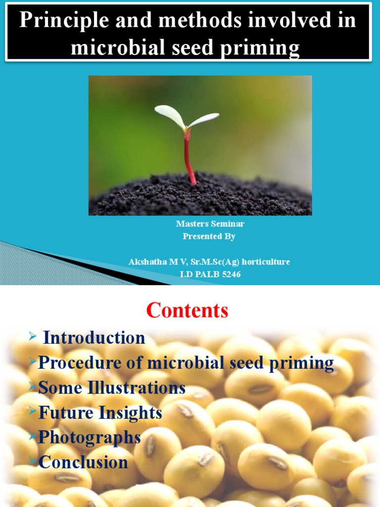 Microbial Seed Priming Techniques | PDF | Seed | Fungus