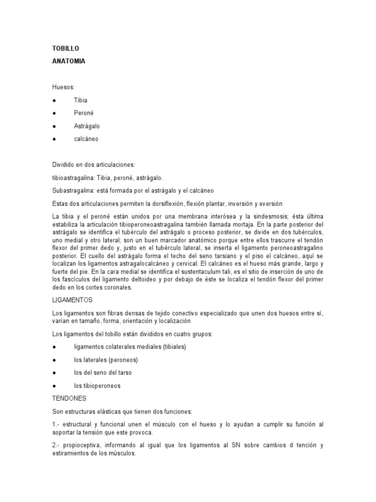Fractura de Tobillo: Clasificación y Tratamiento | PDF | Tobillo | Hueso