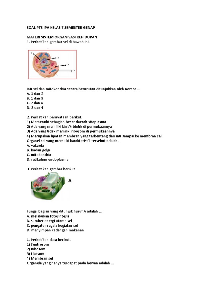 Soal Pts Ipa Kelas 7 Semester Genap Pdf