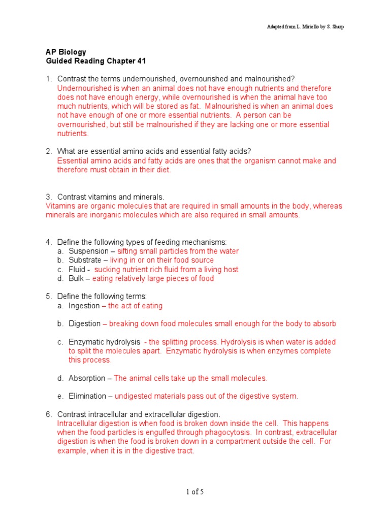 Species Interactions in Digestion | PDF | Human Digestive System ...