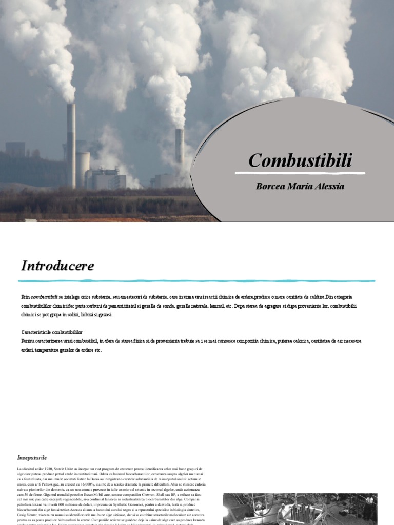 Combustibili | PDF