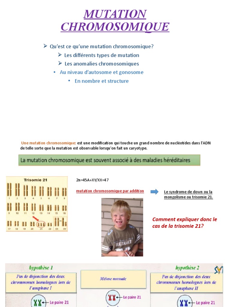 Types et Effets des Mutations Chromosomiques | PDF | Chromosome | Mutation