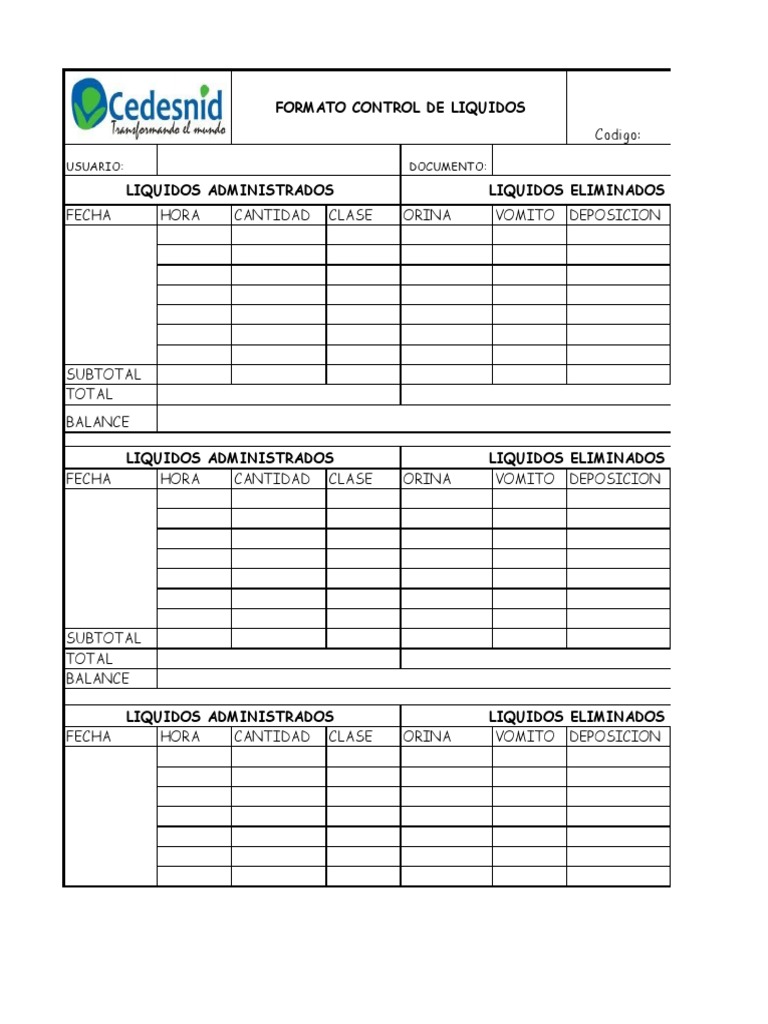 Formato Control de Liquidos2 2 | PDF
