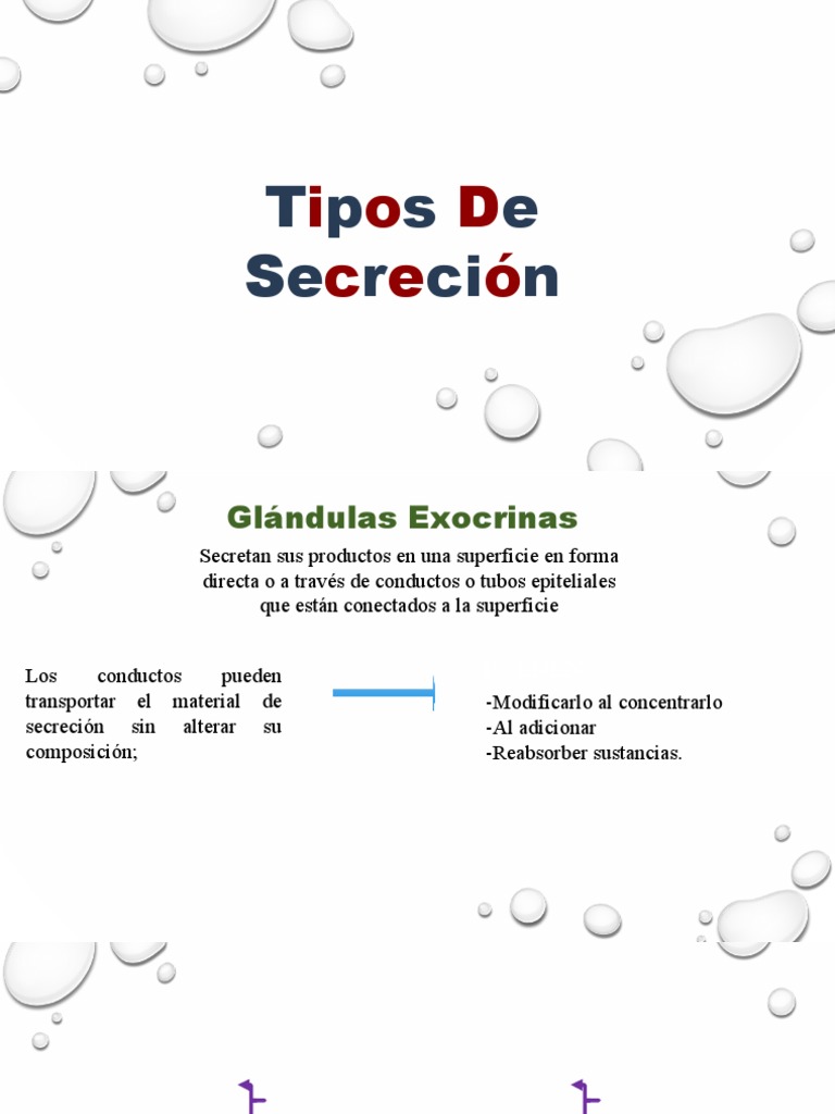 Tipos de secreción glandular: merocrina, apocrina y holocrina | PDF ...