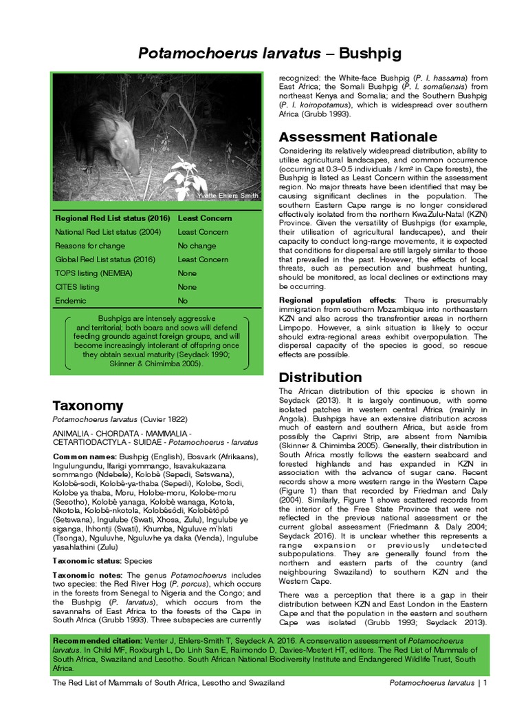Bushpig Conservation in Southern Africa | PDF | Agriculture | Deforestation