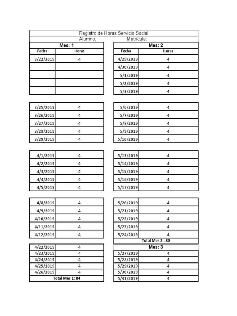 Control de Horas Servicio Social | PDF