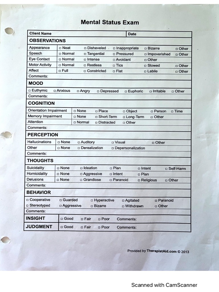 Mental Status Exam | PDF